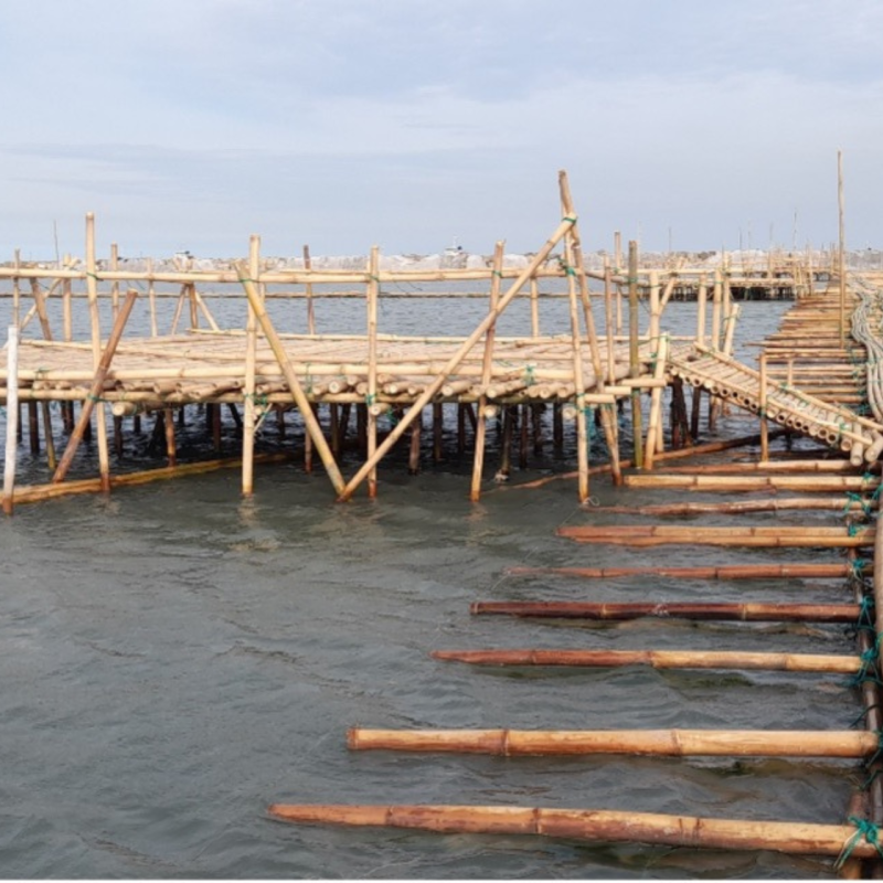 Home - Jasa konstruksi Matras Bambu & Cerucuk Bambu