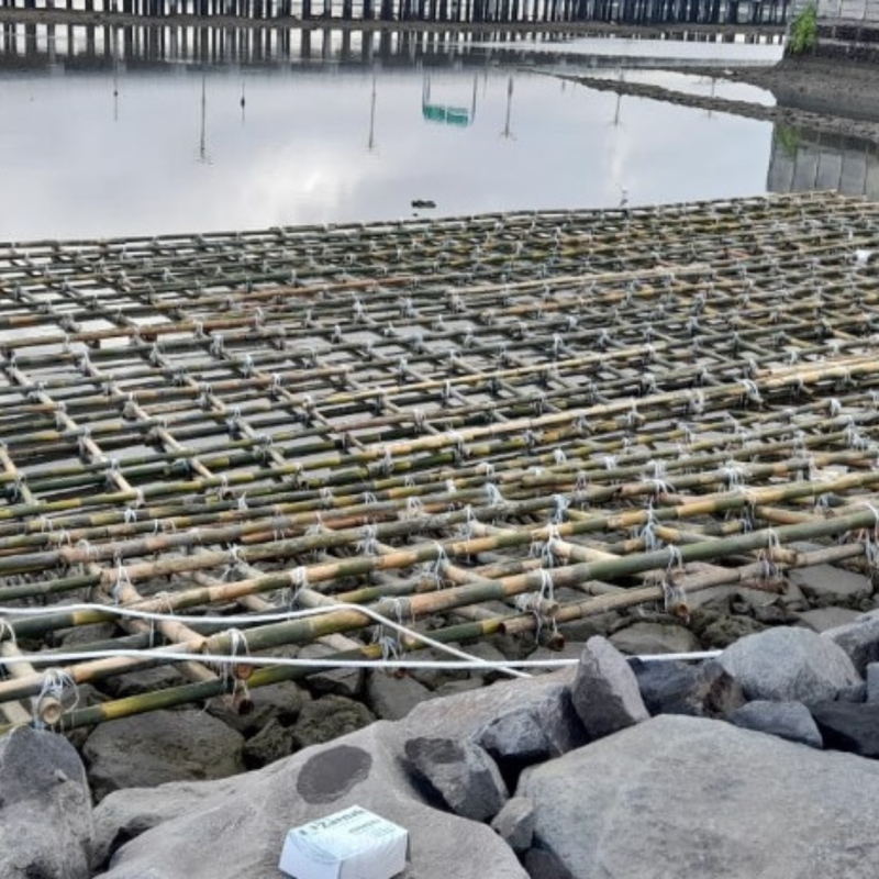 Home - Jasa konstruksi Matras Bambu & Cerucuk Bambu